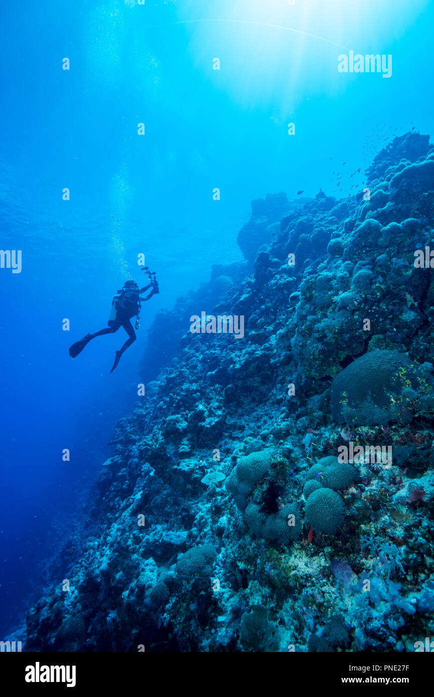 Divers enjoying drift diving. Yap island Federated States of Micronesia ...