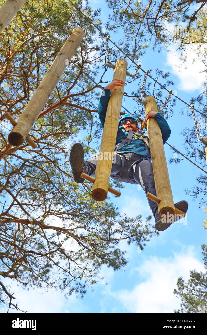 Tree top challenge hi-res stock photography and images - Alamy