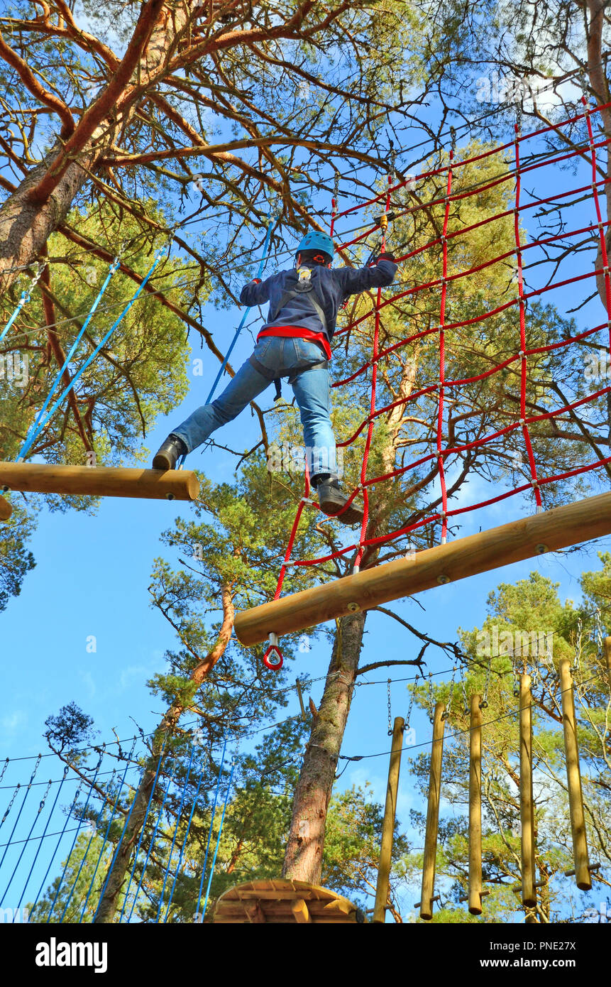 Young man on the high tree tops rope course in Glenshee , Scotland ...