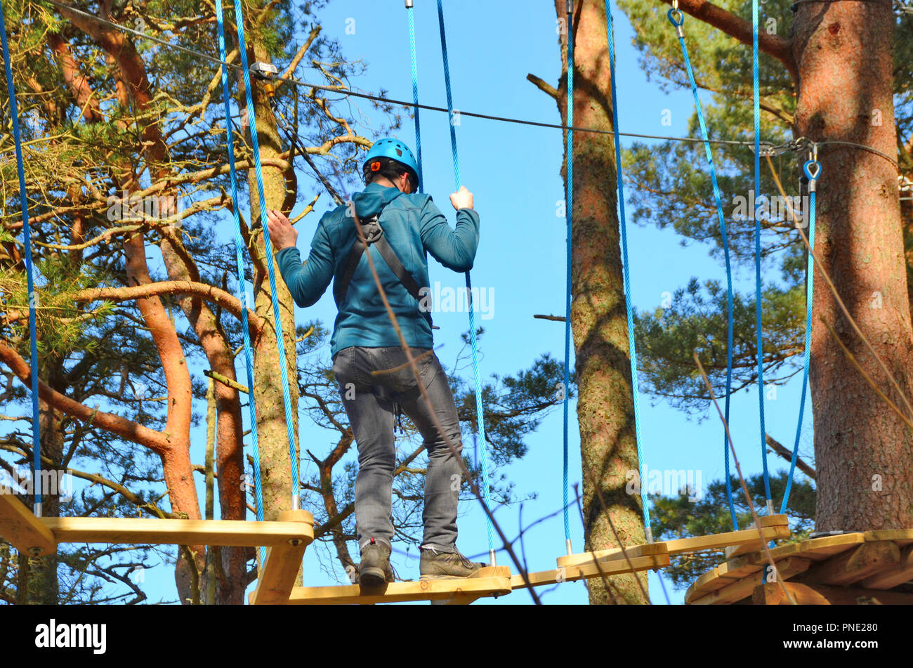 Tree top trail hi-res stock photography and images - Alamy