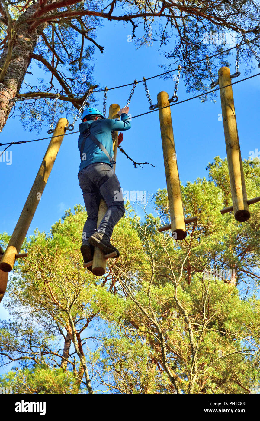High tree hi-res stock photography and images - Alamy