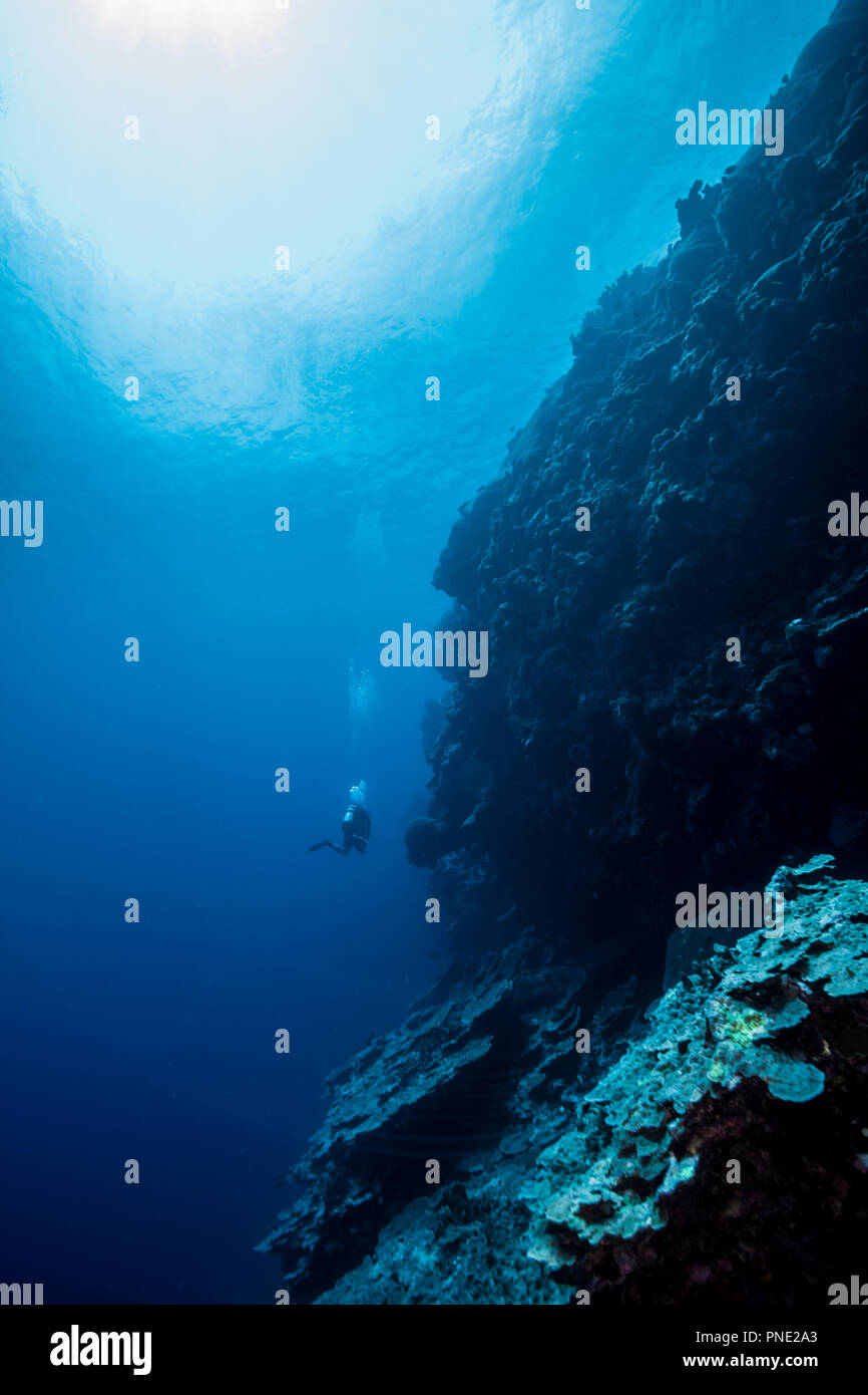 Divers enjoying drift diving. Yap island Federated States of Micronesia ...