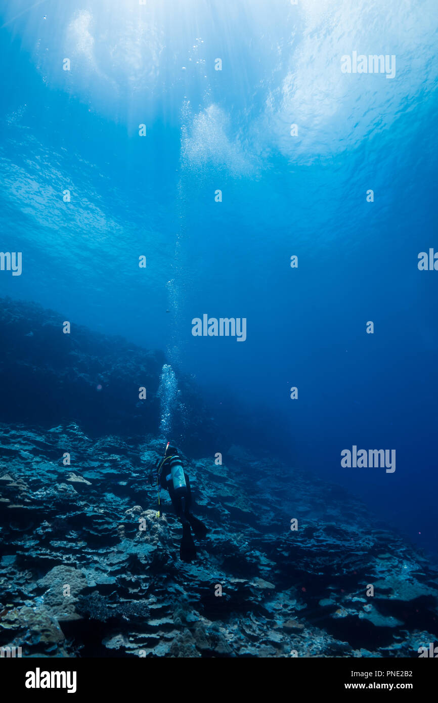 Divers enjoying drift diving. Yap island Federated States of Micronesia ...