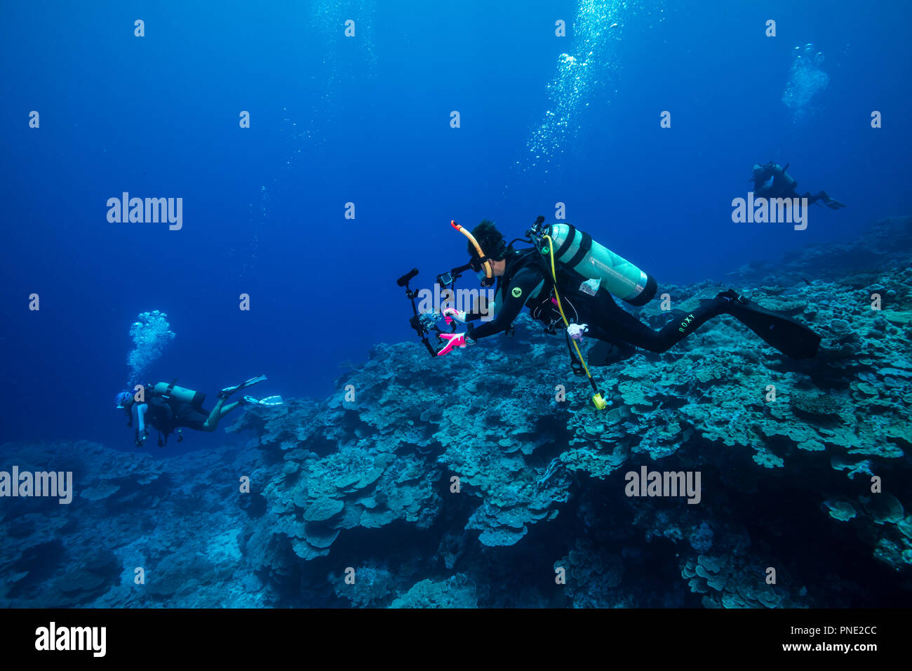 Divers enjoying drift diving. Yap island Federated States of Micronesia ...