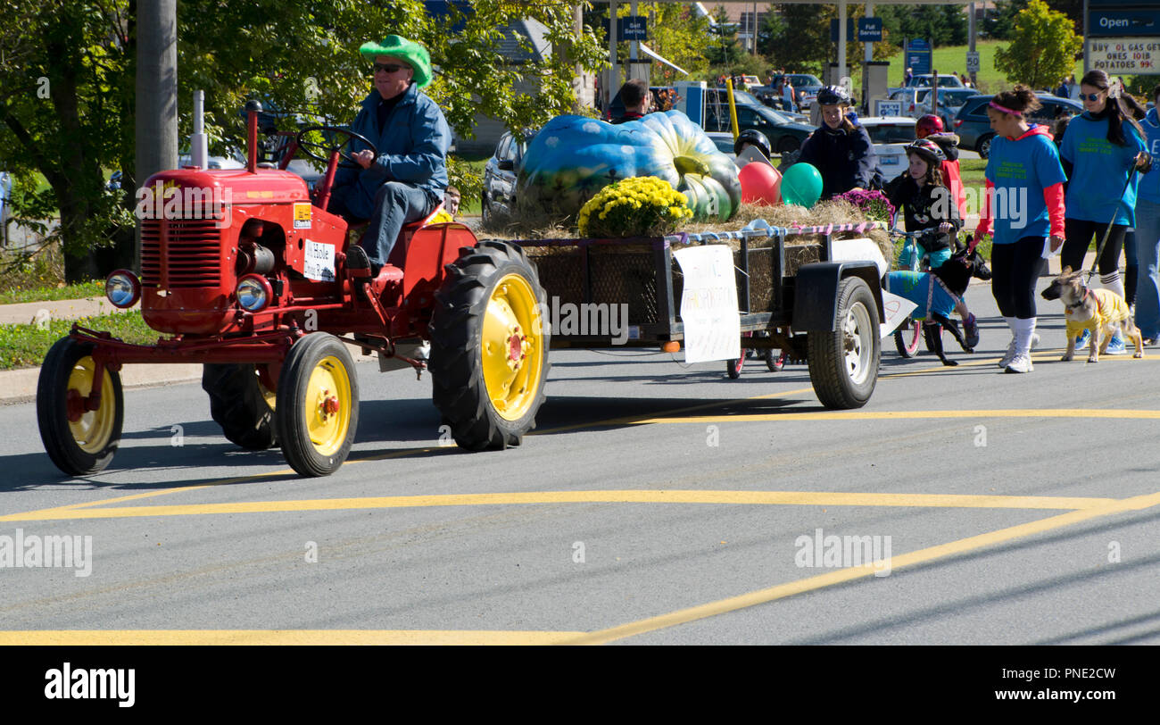 Old red tractor pulling large pumpkin at the parade Stock Photo - Alamy