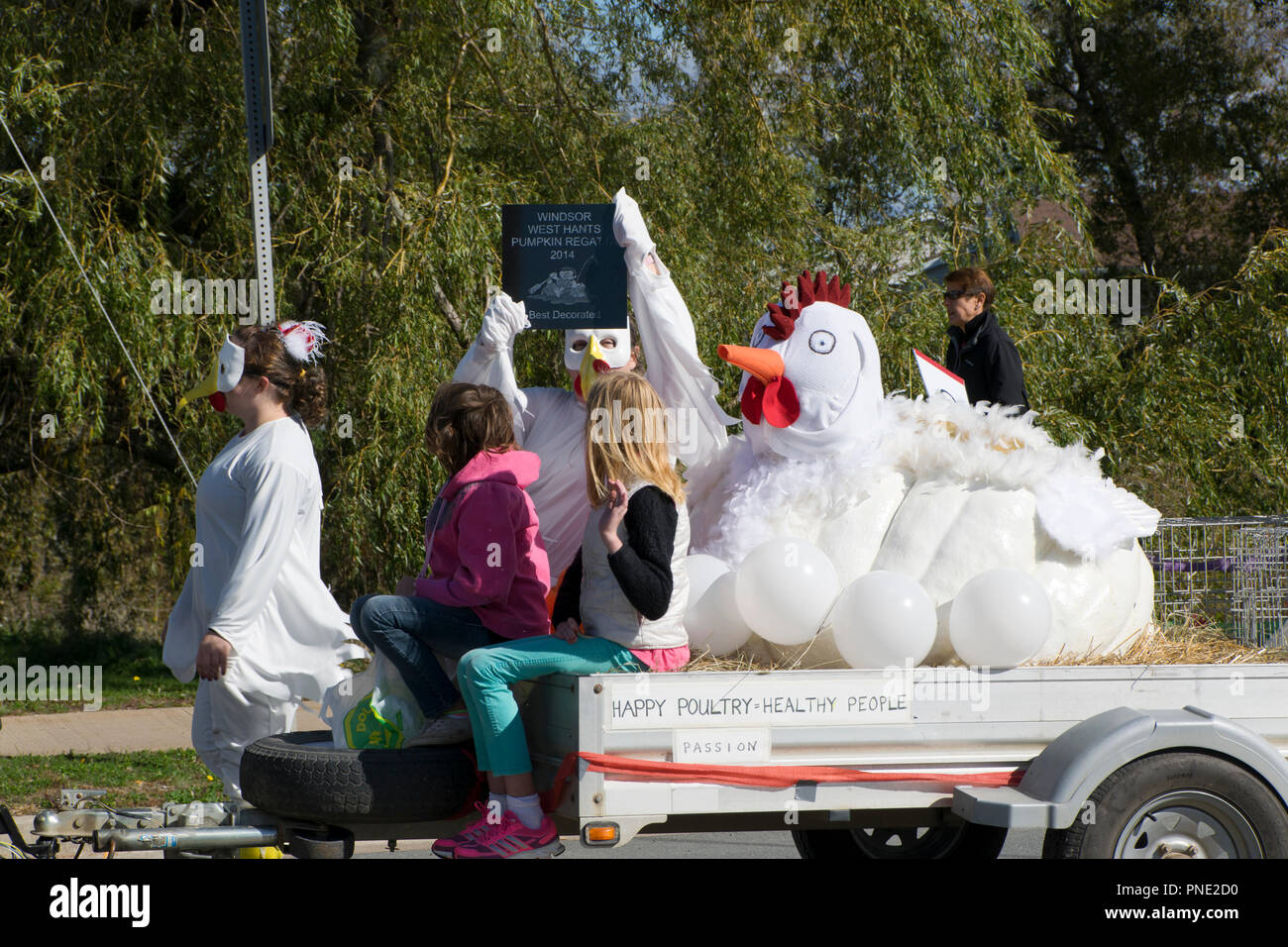 Giant pumpkins carved out to become a boat at the Pumpkin regatta ...