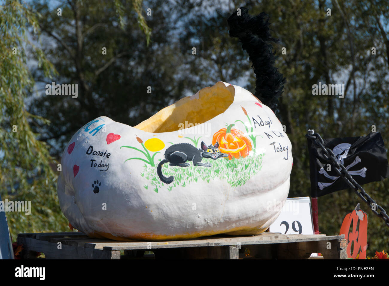 Giant pumpkin boat hi-res stock photography and images - Alamy