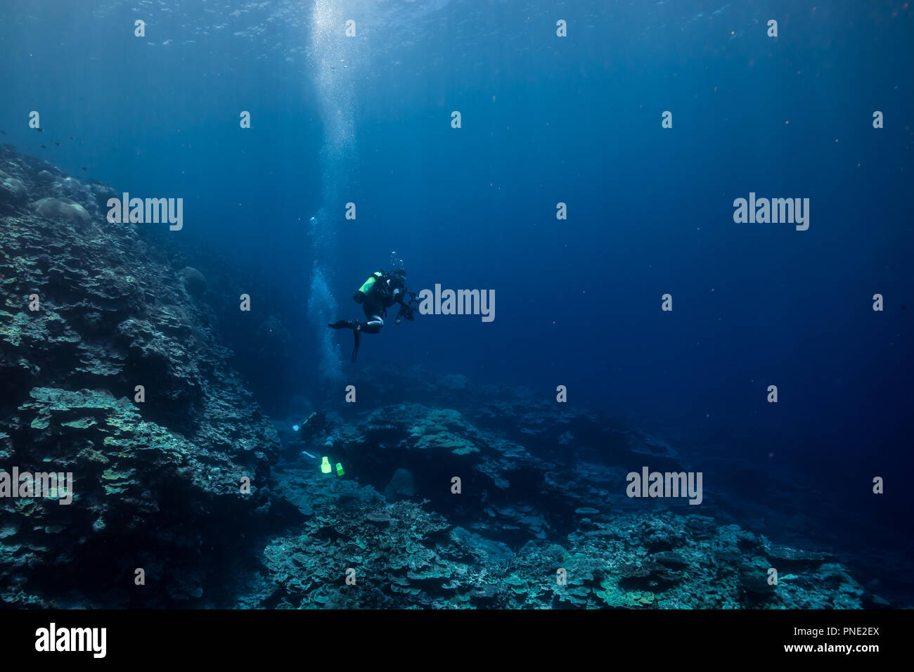 Divers enjoying drift diving. Yap island Federated States of Micronesia ...