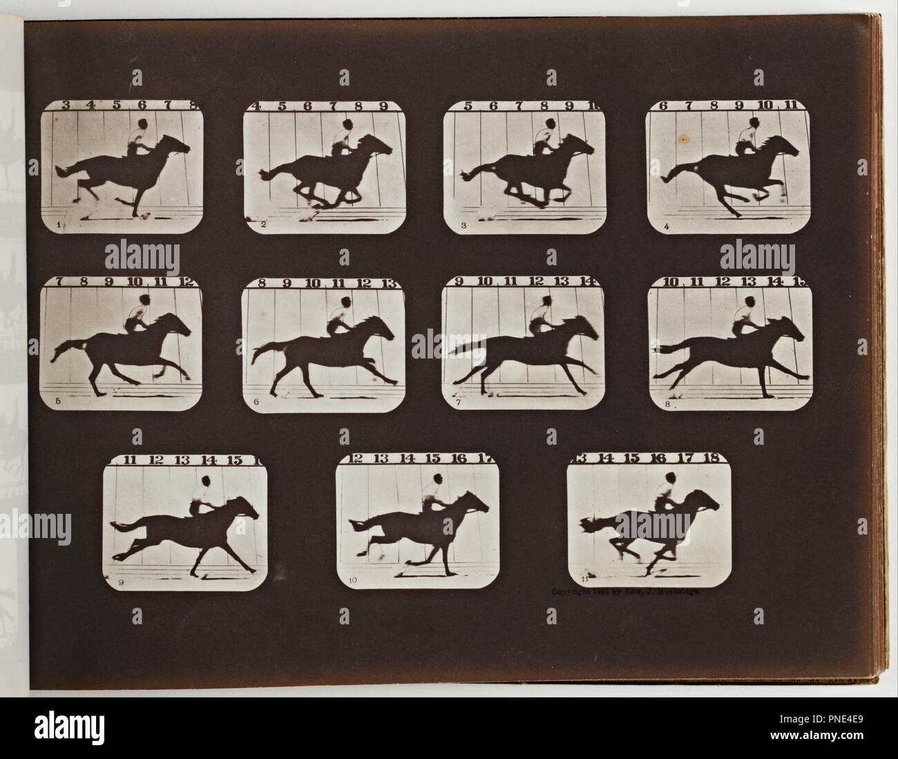 Horse in motion eadweard muybridge hi-res stock photography and images ...
