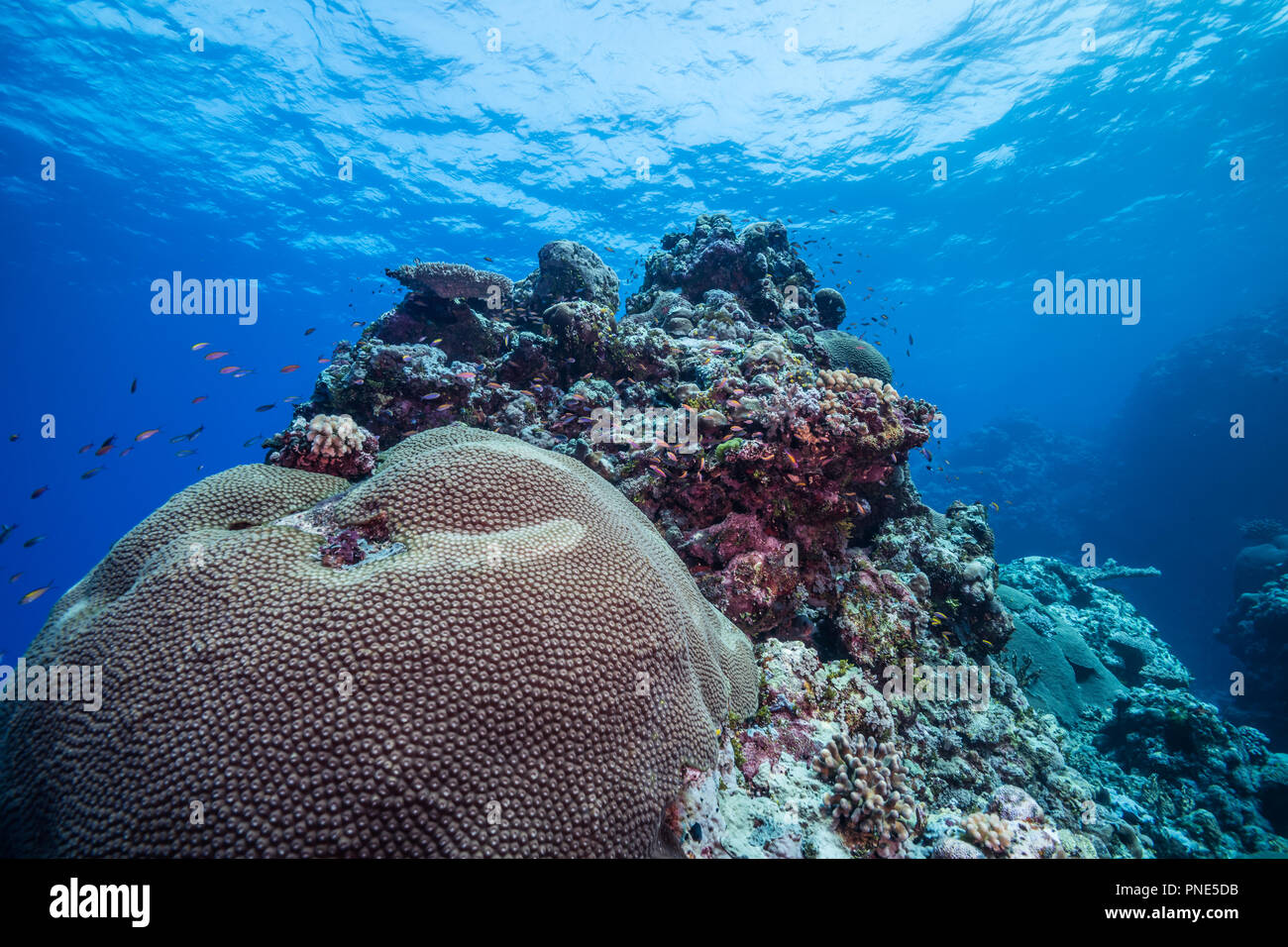 Small atoll. Yap island Federated States of Micronesia Stock Photo - Alamy
