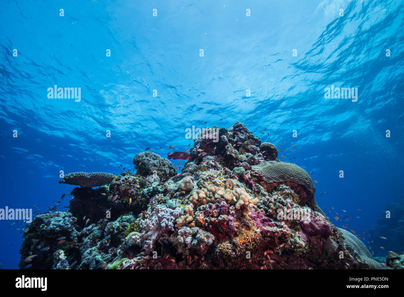 Small atoll. Yap island Federated States of Micronesia Stock Photo - Alamy