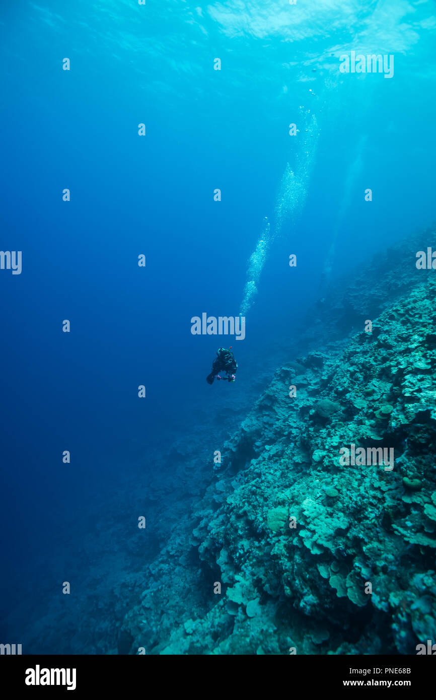 Scuba diving. Yap island Federated States of Micronesia Stock Photo - Alamy