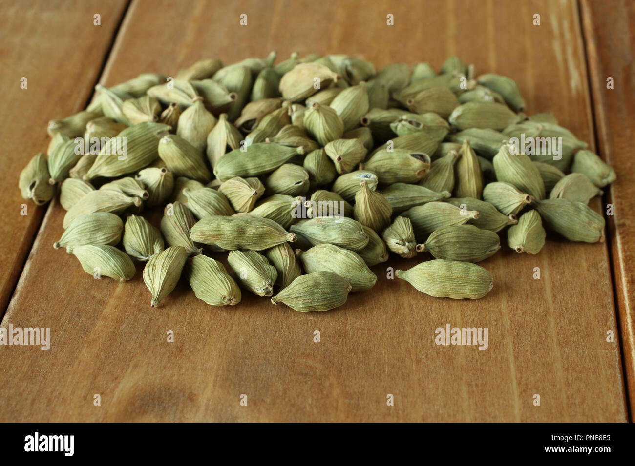 Indian cardamom plant hi-res stock photography and images - Alamy
