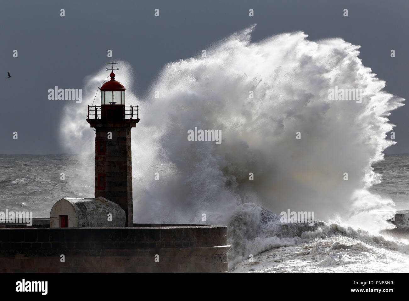 Backlit big stormy wave over lighthouse Stock Photo - Alamy
