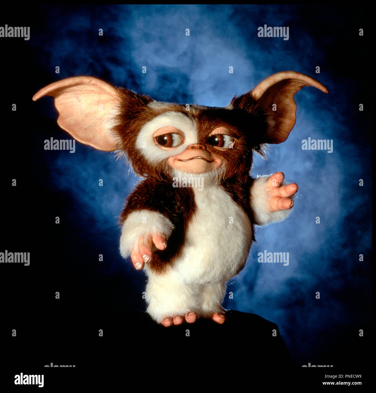 Gizmo Stock Photos & Gizmo Stock Images - Alamy