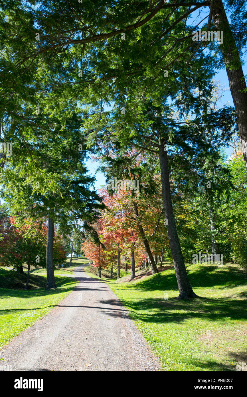 Entrance road of the Clifton estate also known as Haliburton House ...