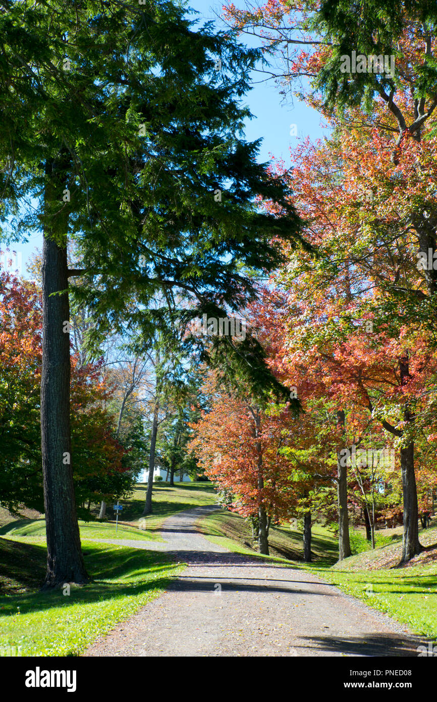 Clifton estate hi-res stock photography and images - Alamy