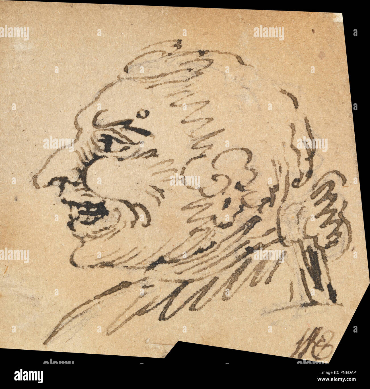 Grotesque Male Head. Drawing. Black and brown ink on medium, smooth ...