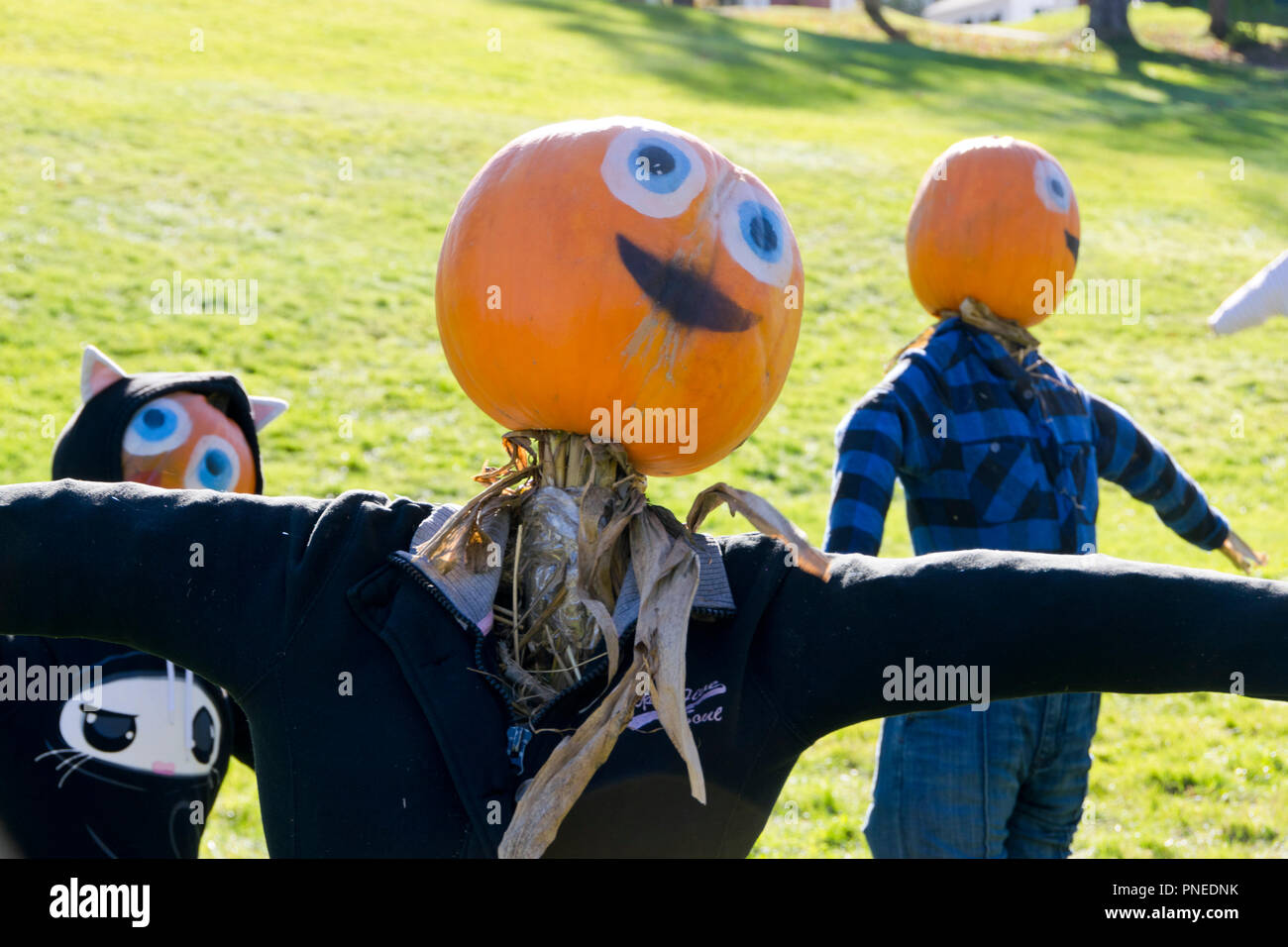 Pumpkin people is a month long event displaying mannequins with pumpkin ...