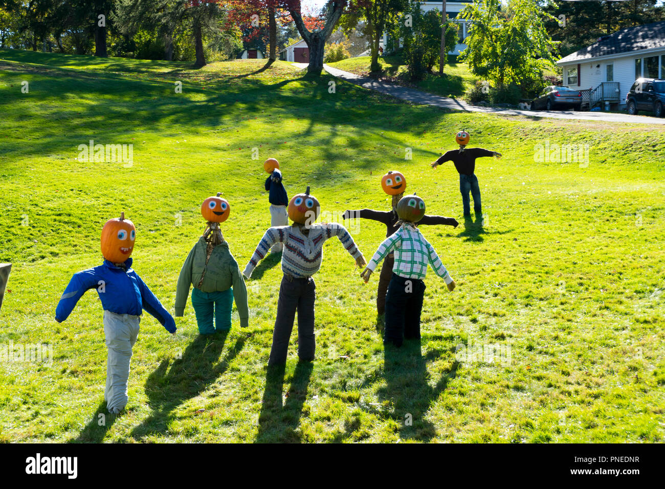 Pumpkin people is a month long event displaying mannequins with pumpkin ...