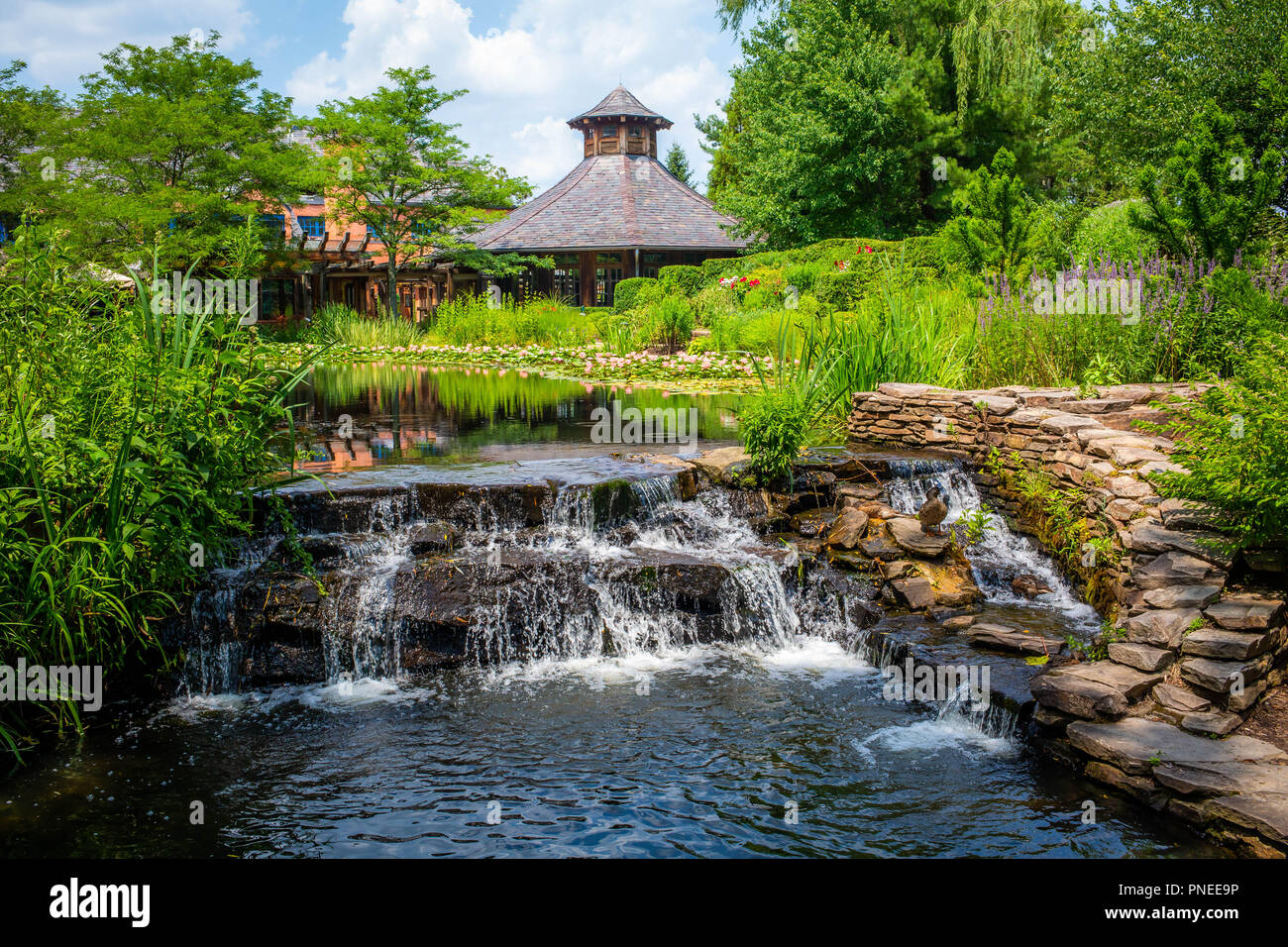 The most beautiful country hi-res stock photography and images - Alamy