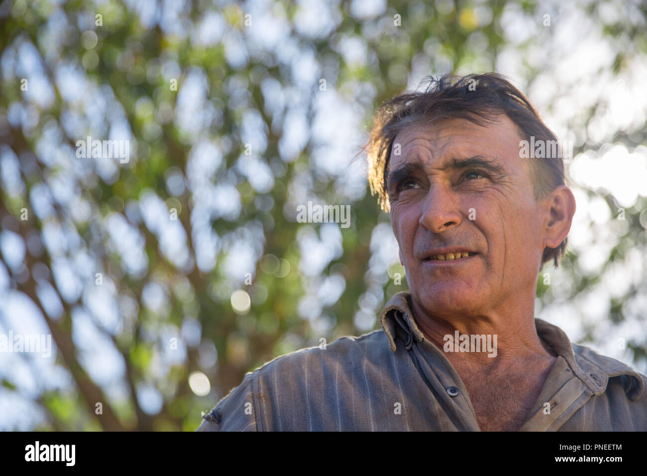 Middle age farmer hi-res stock photography and images - Alamy