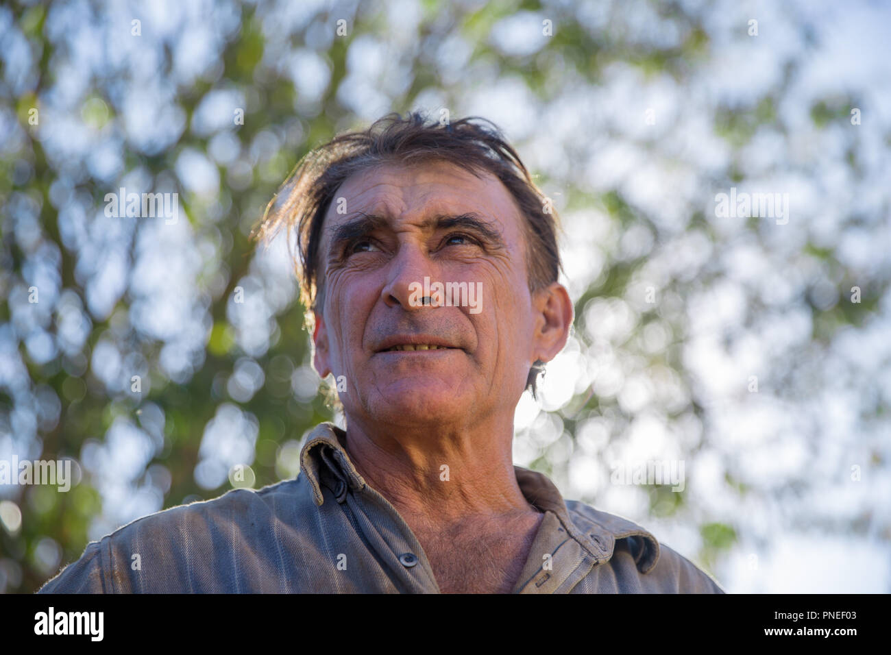 Mid age middle aged adult hi-res stock photography and images - Alamy