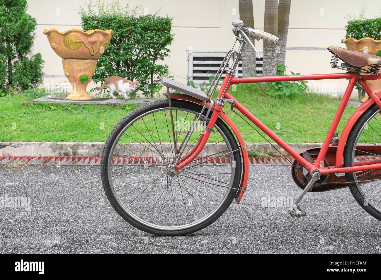 bicycle red classic vintage in former beautiful with copy space for add ...
