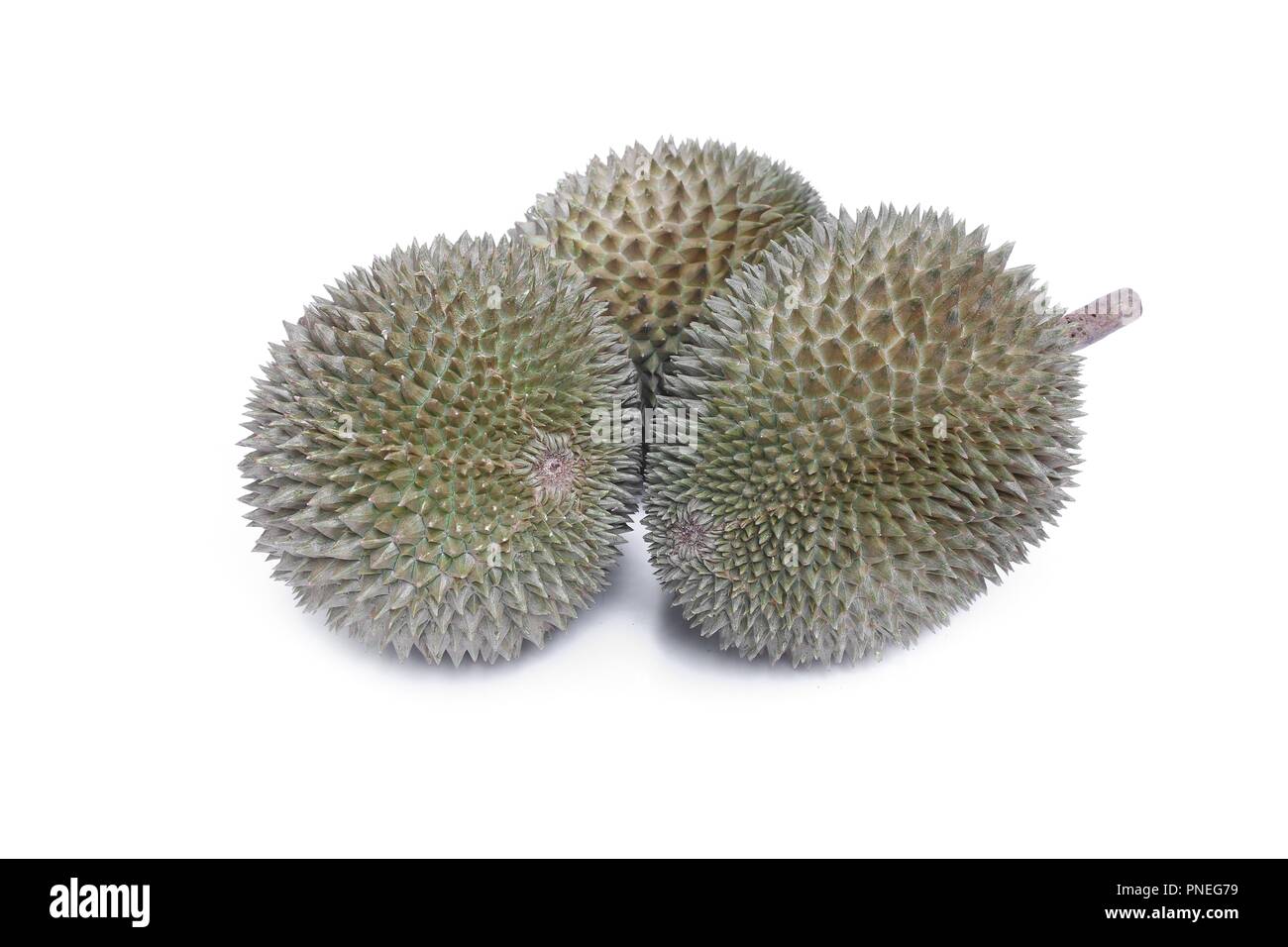 durian with shell, King of fruit on white background Stock Photo - Alamy