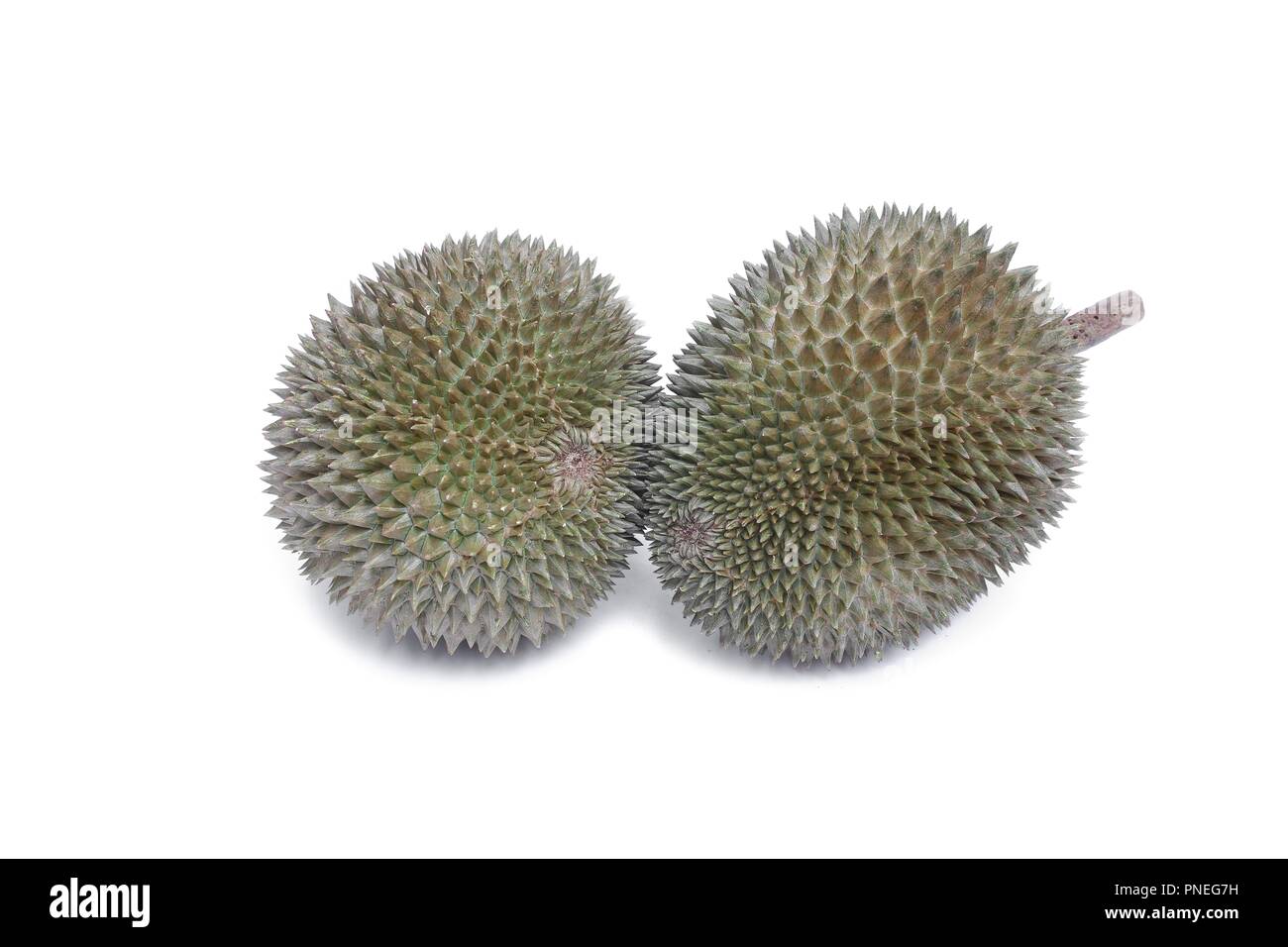 durian with shell, King of fruit on white background Stock Photo - Alamy