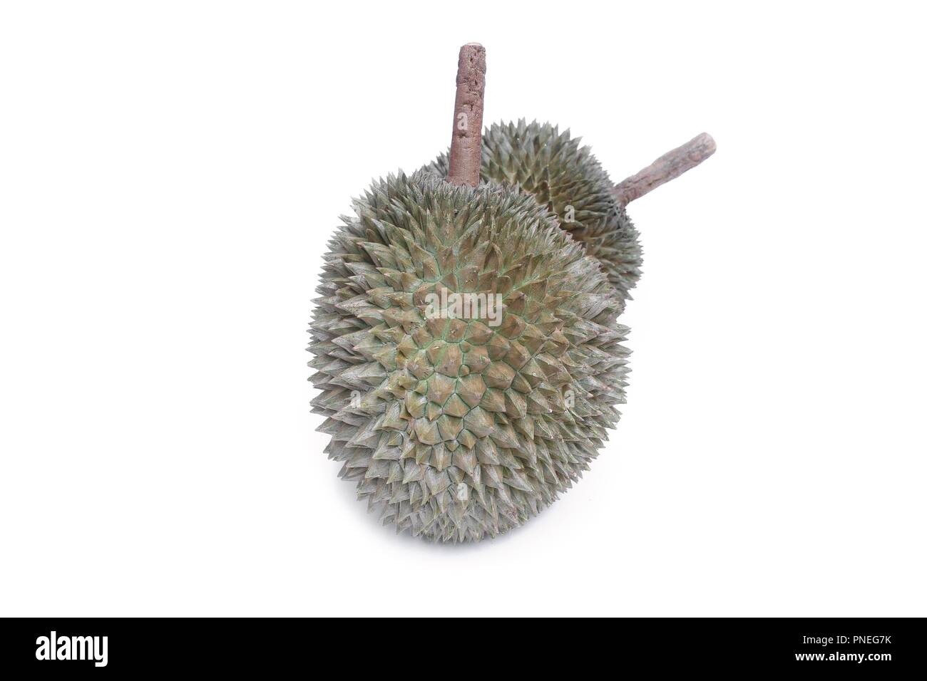 durian with shell, King of fruit on white background Stock Photo - Alamy