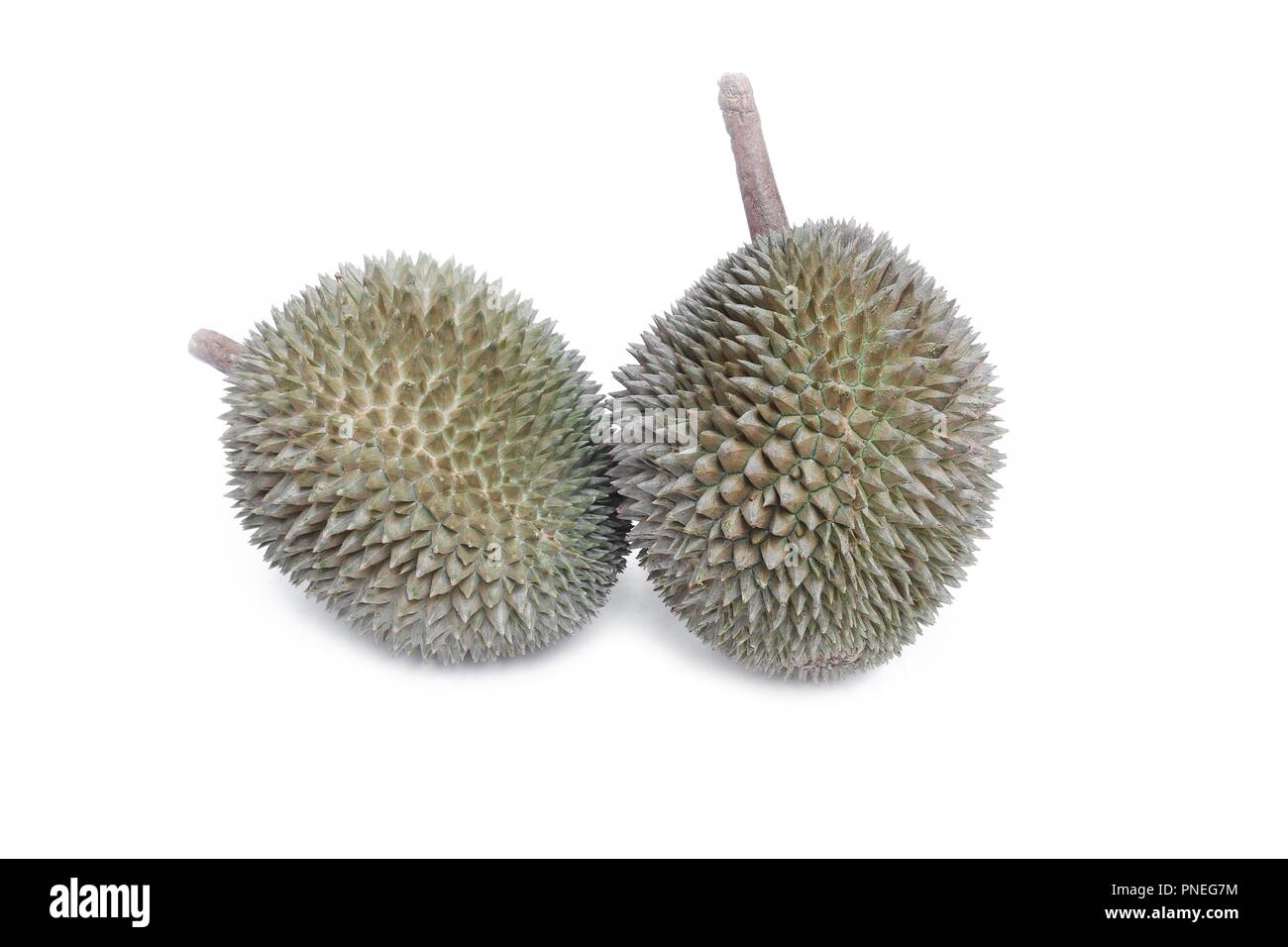 durian with shell, King of fruit on white background Stock Photo - Alamy