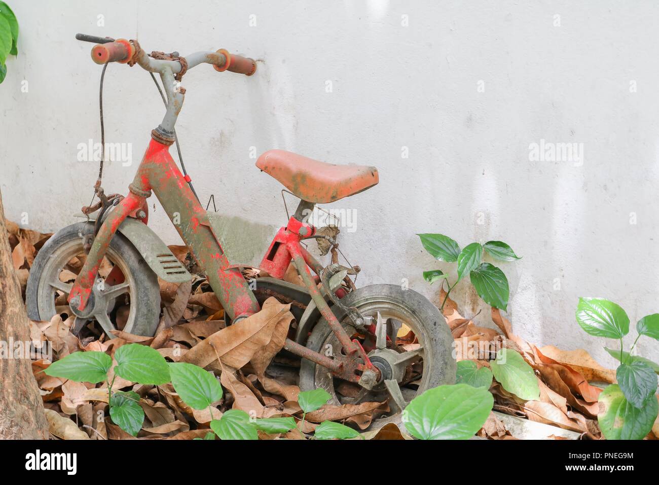 bicycle Antique Broken Old at decay and rust Stock Photo - Alamy