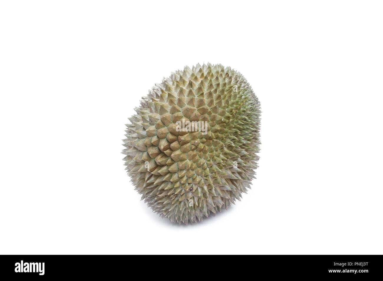 durian with shell, King of fruit on white background Stock Photo - Alamy