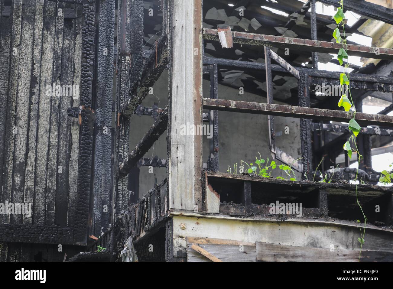 home fire detail images conflagration Stock Photo - Alamy