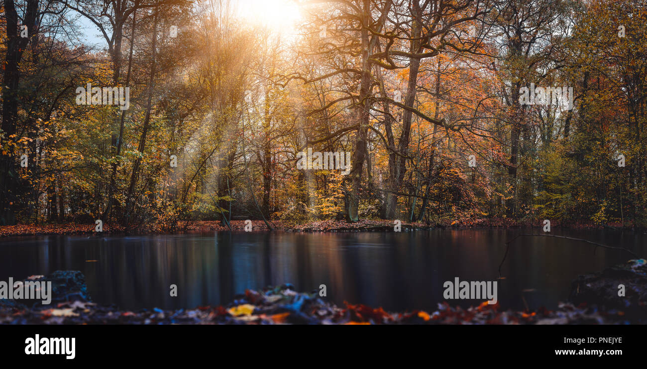 Autumn sun rays sunbeam appear trought the beautiful tree branches and ...