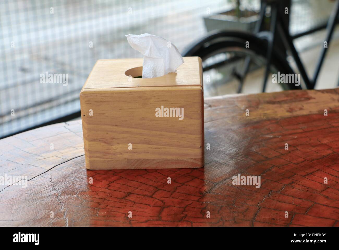 Tissue of wood hi-res stock photography and images - Alamy