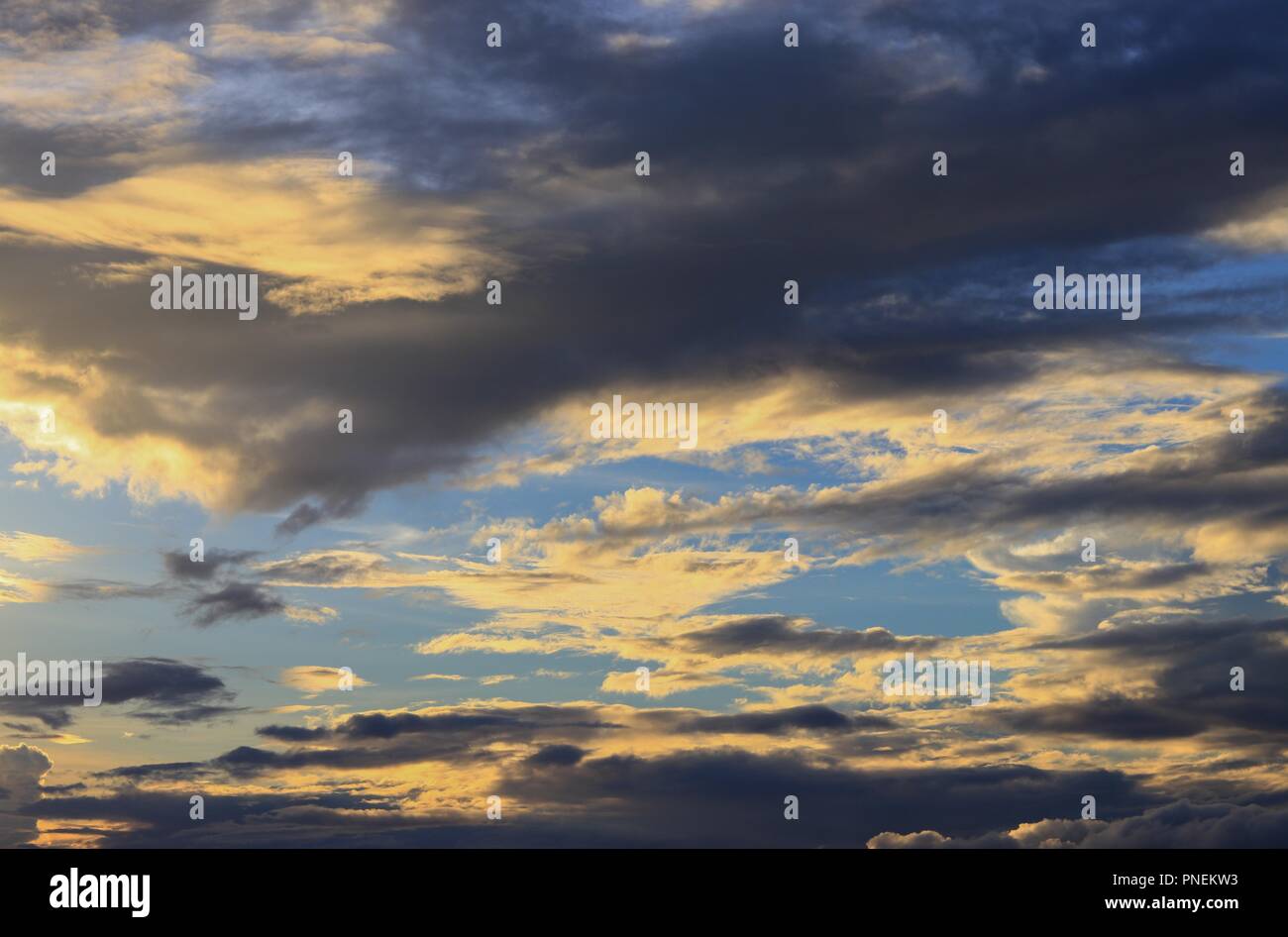 sky in sunset and raincloud art beautiful in nature, space for add text ...