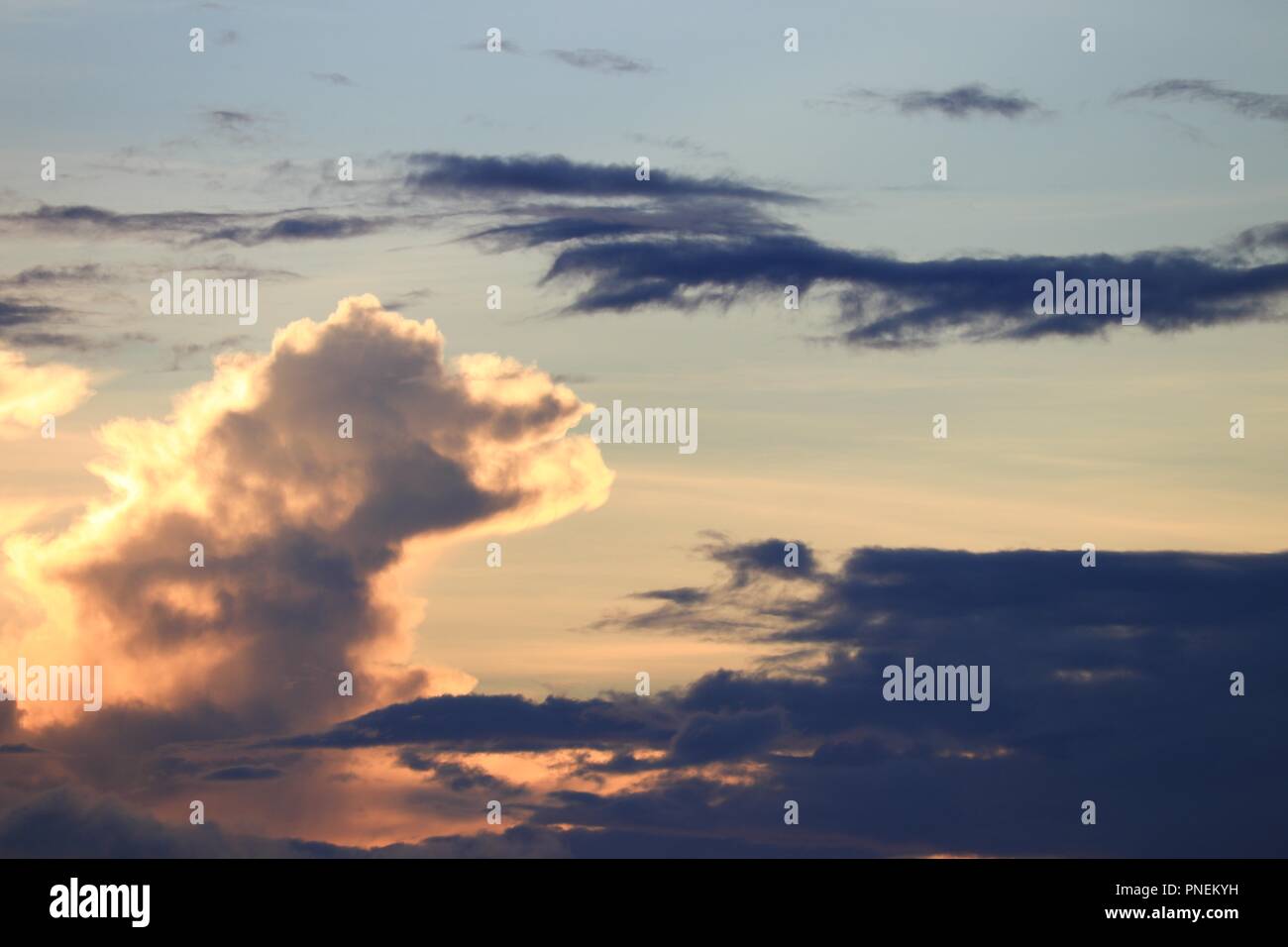 sky in sunset and raincloud art beautiful in nature, space for add text ...