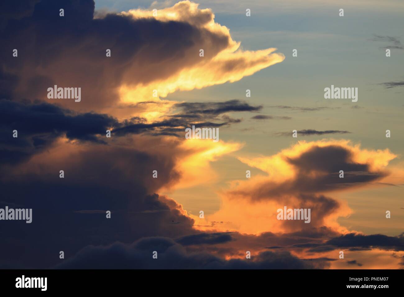 sky in sunset and raincloud art beautiful in nature, space for add text ...