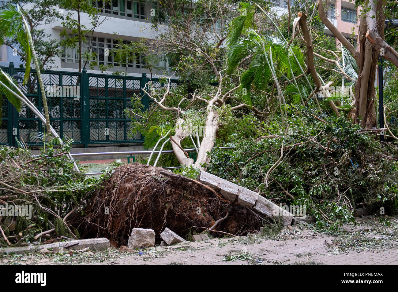Typhoon Damage High Resolution Stock Photography and Images - Alamy