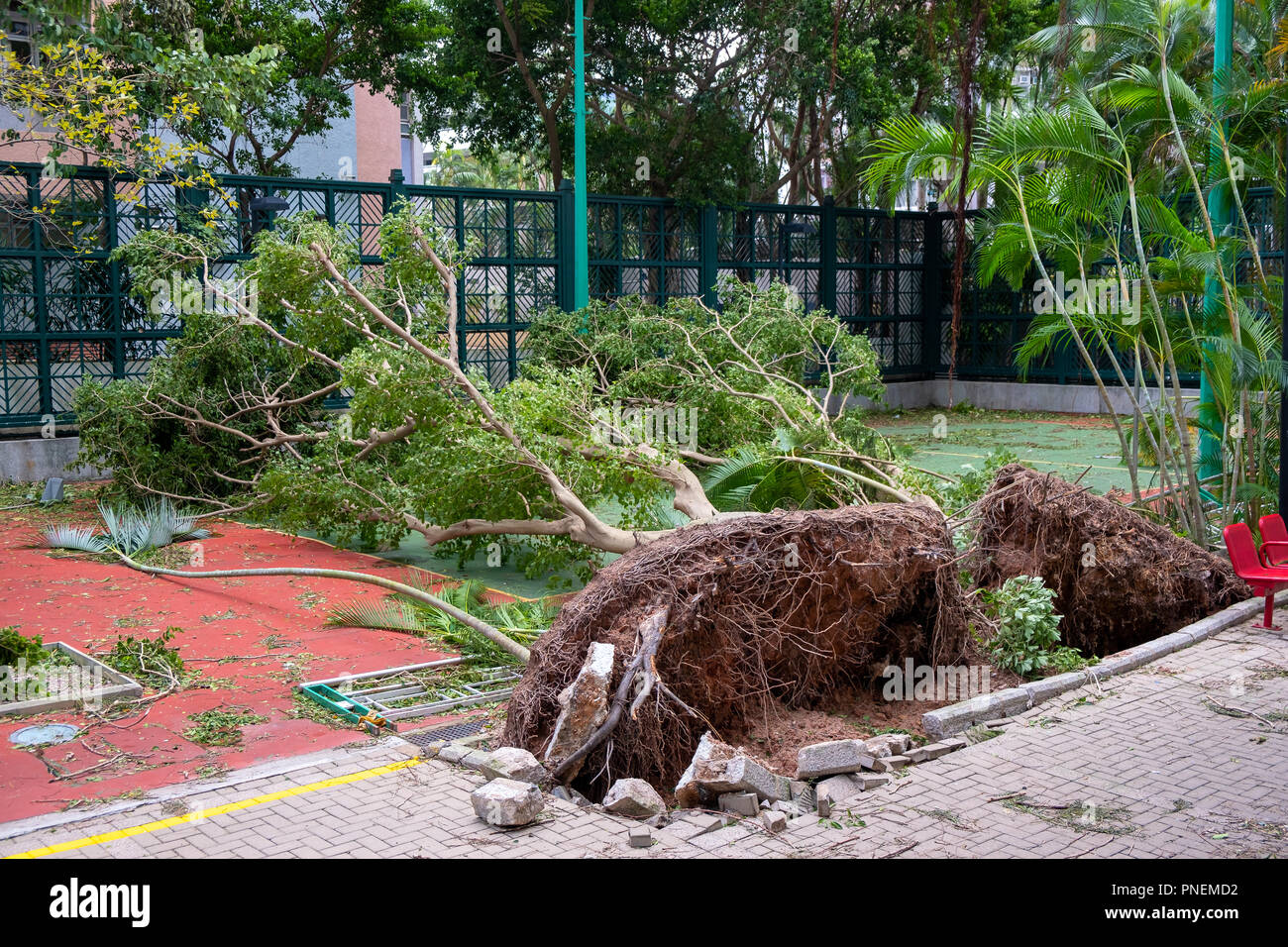 Typhoon damage house hi-res stock photography and images - Alamy