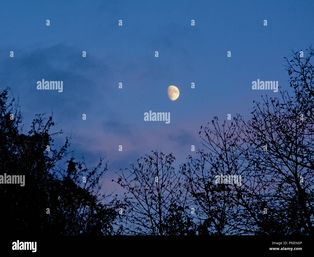 Download preview Moon in the evening sky during blue hour with ...