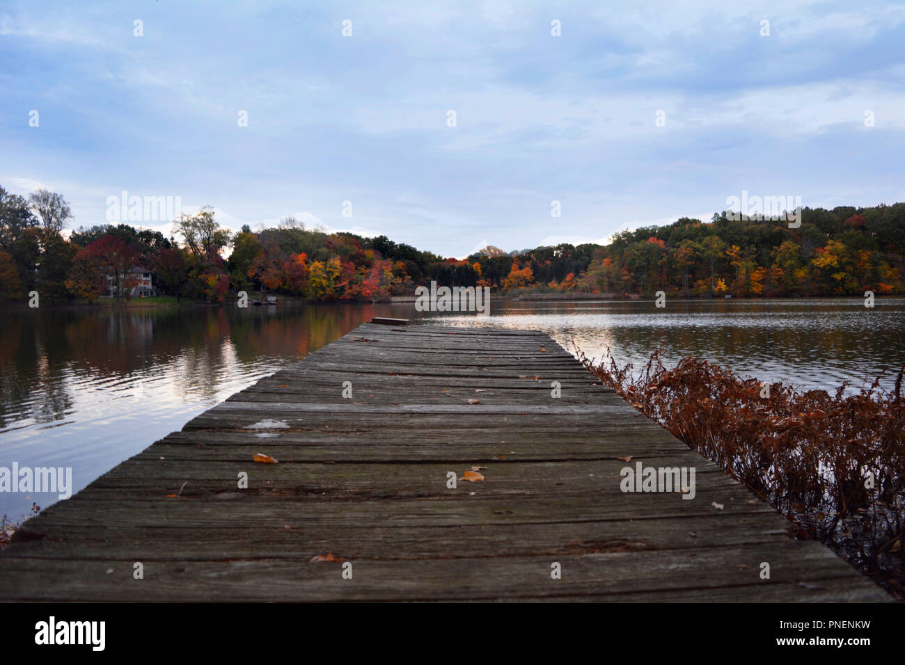 Dock nature hi-res stock photography and images - Alamy