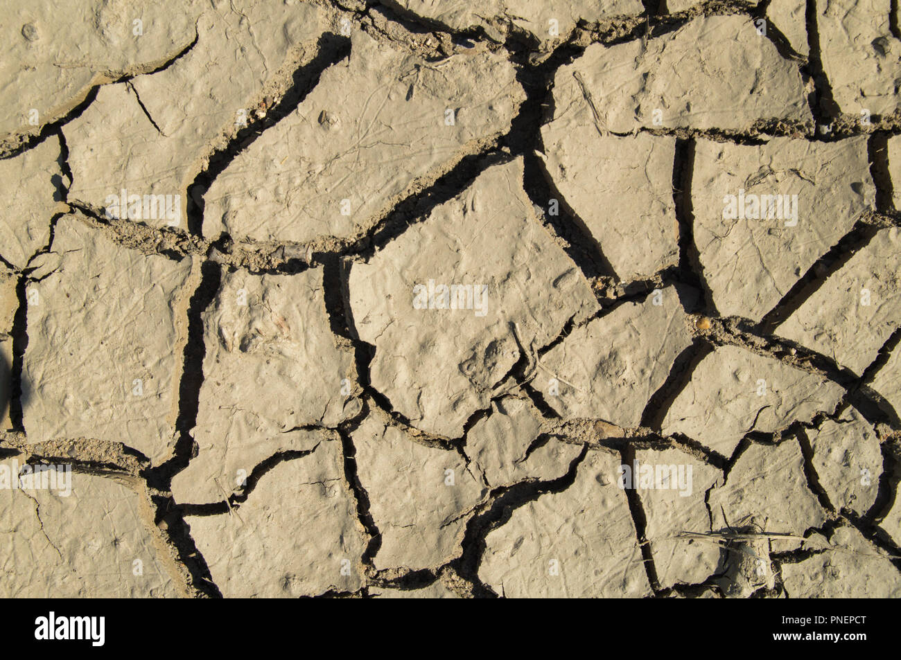 Patch land dry ground hi-res stock photography and images - Alamy