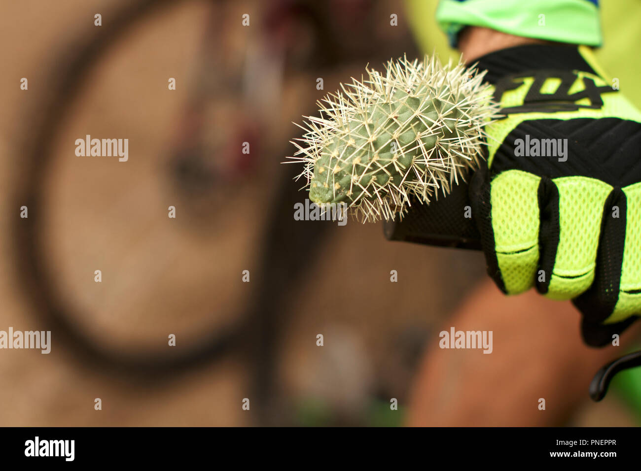 Epic bike rides hi-res stock photography and images - Alamy