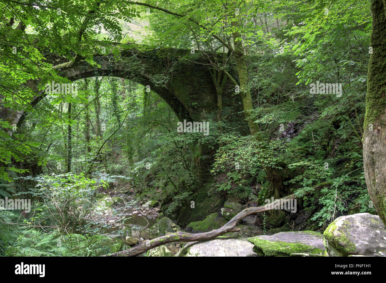 Moss covered bridge hi-res stock photography and images - Alamy