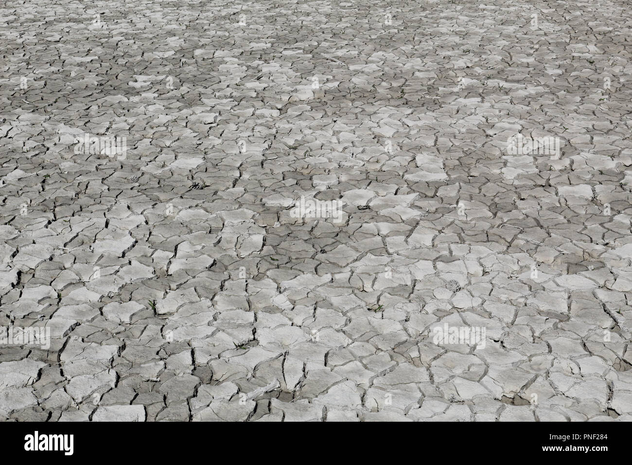 Dry cracked grey clay soil shot in perspective during a hot sunny day ...