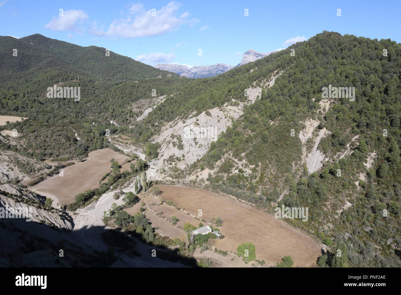 A landscape of cultivated fields, dense forest and mountains as seen ...