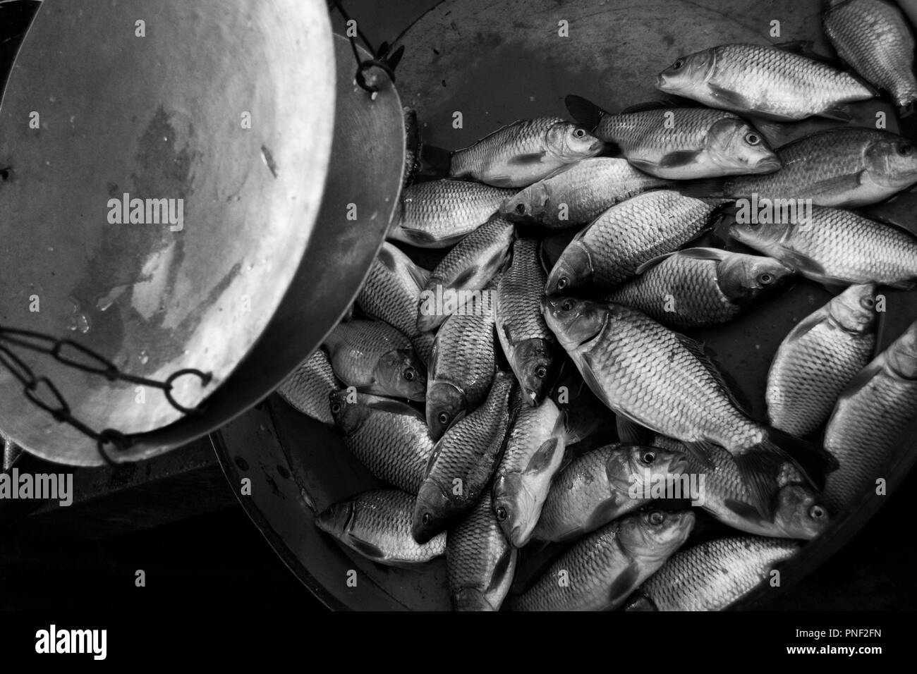 Imphal, Manipur. Market fish Stock Photo - Alamy